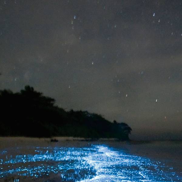 The most beautiful natural phenomena in the world in pictures | CN ...