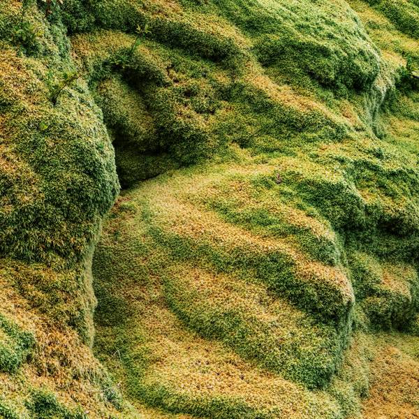 A new wave of eco travel on the Azores | CN Traveller