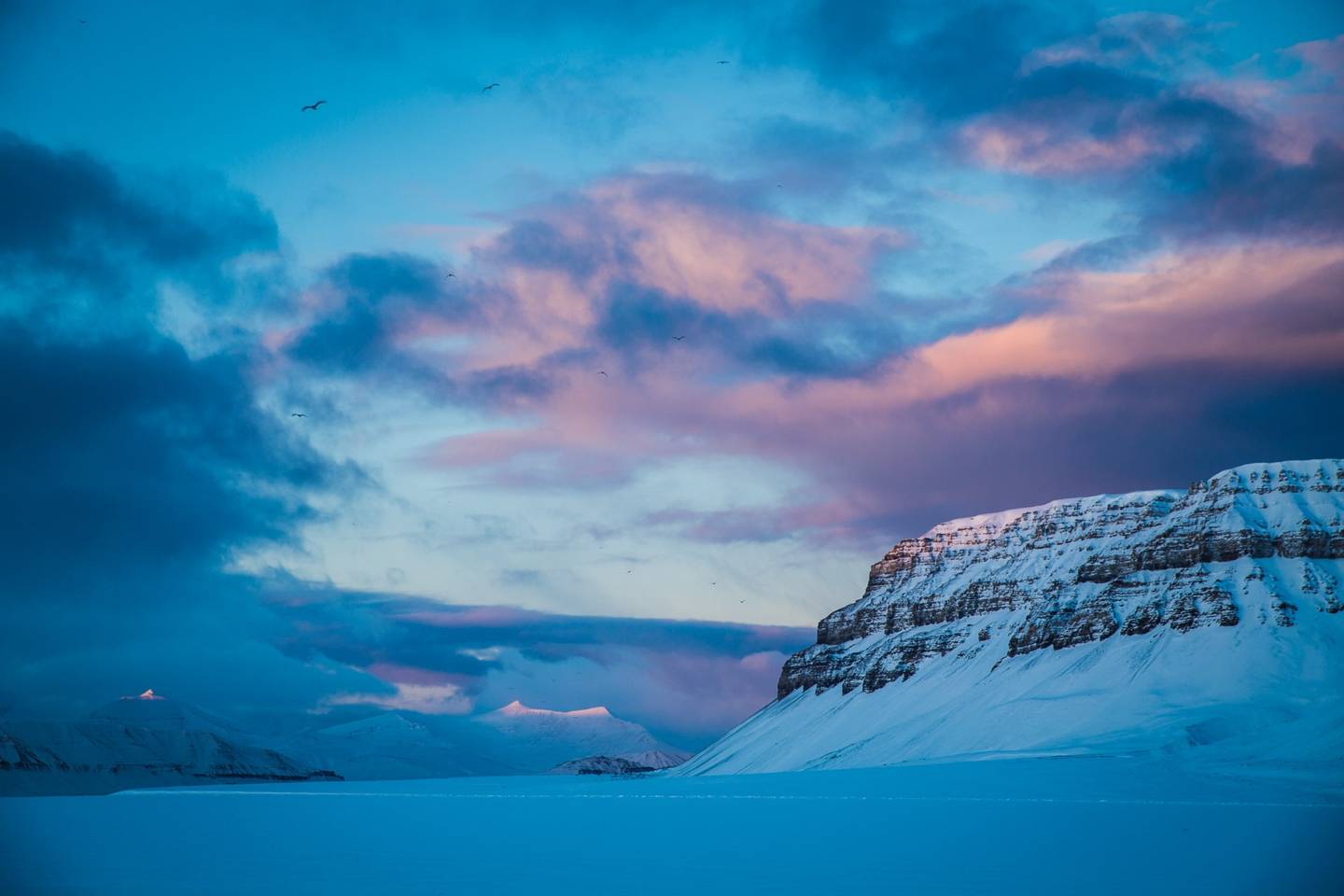 Holiday in Norway's Arctic Svalbard islands | CN Traveller