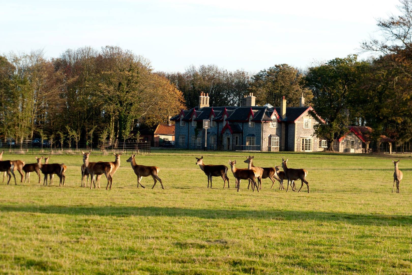 The most beautiful places in Norfolk | CN Traveller