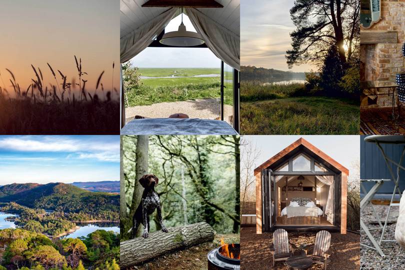 Rewilding in the UK: How conservationists are regenerating the ...