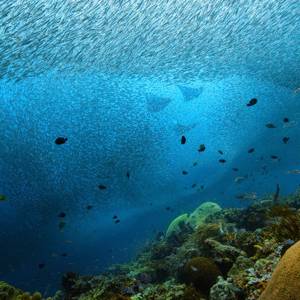 Our Planet filming locations | CN Traveller