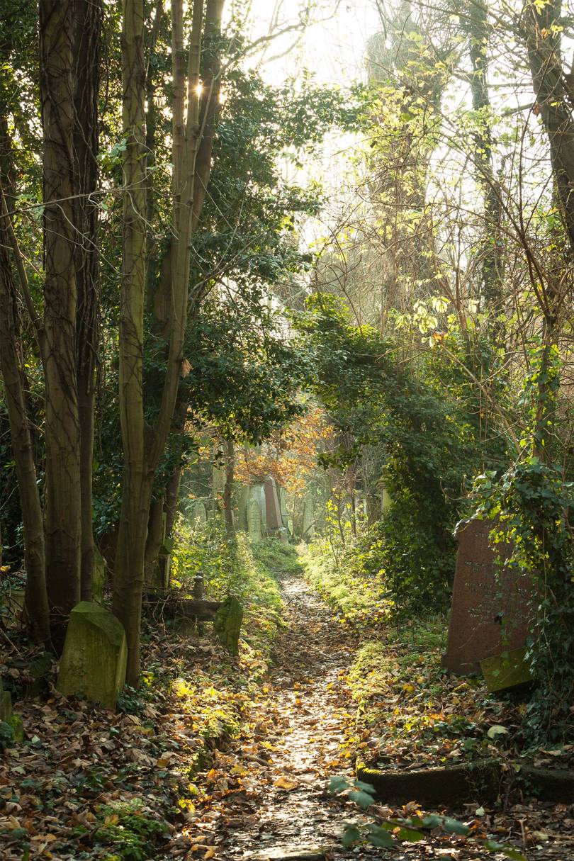 The best walks in London right now | CN Traveller