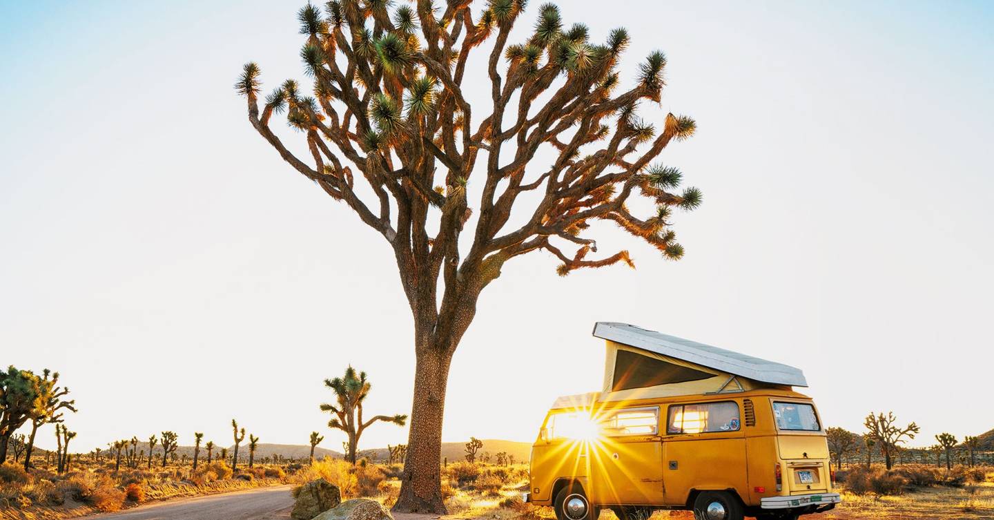 Van Life ideas: Foster Huntington and the millennial nomads living the ...