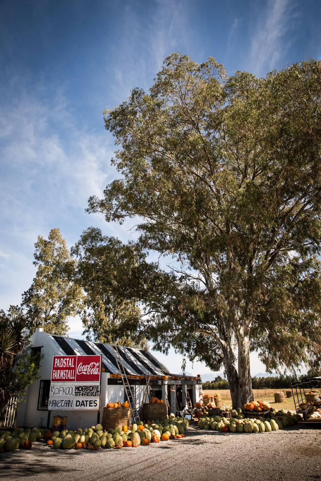 Guide to the Little Karoo, South Africa | CN Traveller