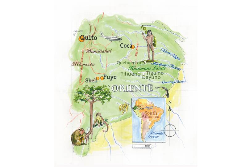 Journey into the Amazon | Tourism in the Amazon rainforest, Ecuador ...