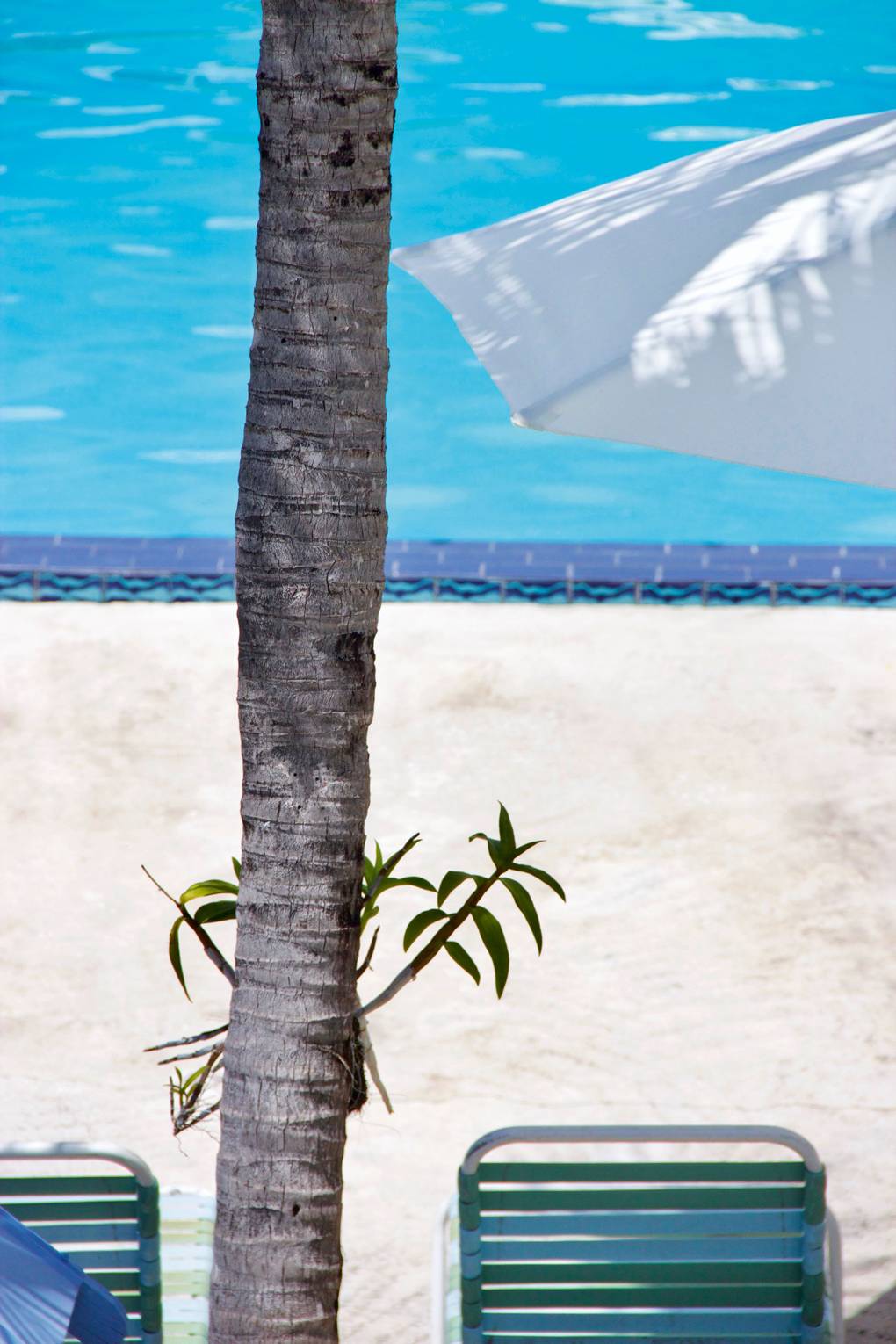 The best places to visit in the Florida Keys | CN Traveller