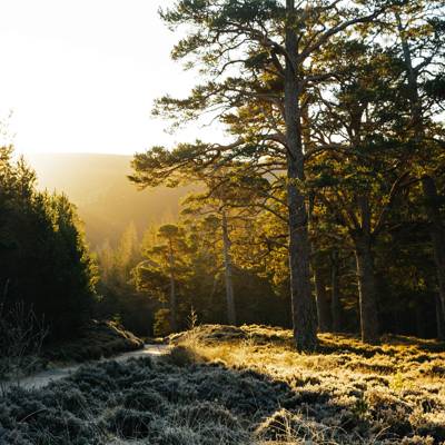 The most beautiful places in Scotland | CN Traveller