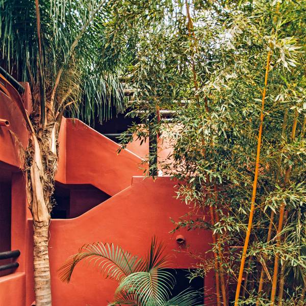 15 beautiful plant-filled interiors from around the world | CN Traveller