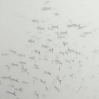 Great Barrier Reef, Australia - best islands and diving spots | CN ...