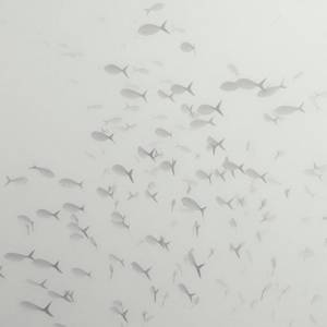 Great Barrier Reef, Australia - best islands and diving spots | CN ...