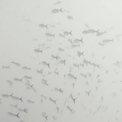 Great Barrier Reef, Australia - best islands and diving spots | CN ...