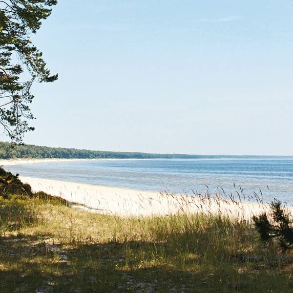 Beaches of the Baltic coast | Holidays in Eastern Europe | CN Traveller