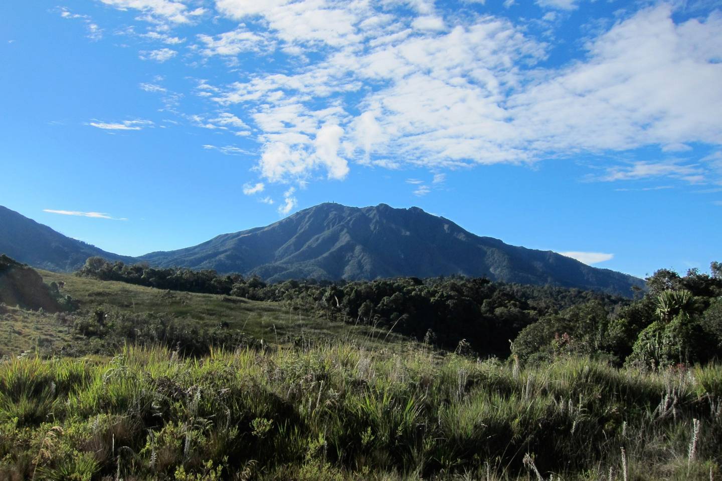 Papua New Guinea lodges | Birdwatching and diving | CN Traveller