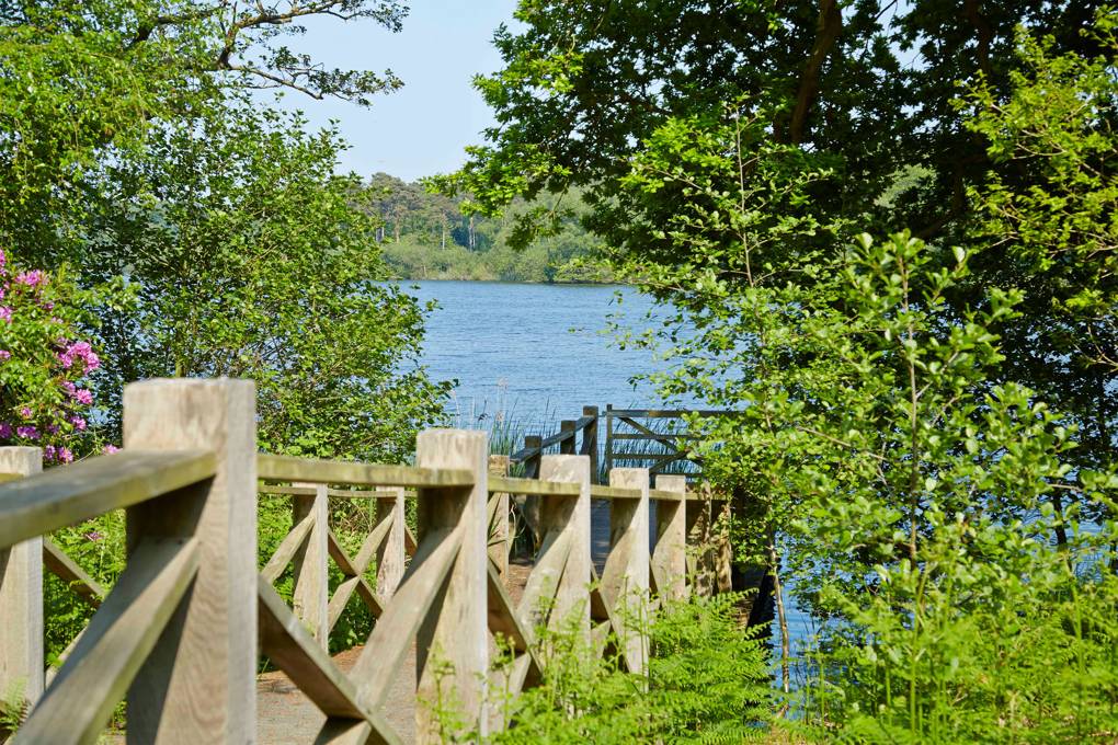 10 stays in the UK that contribute to conservation projects | CN Traveller