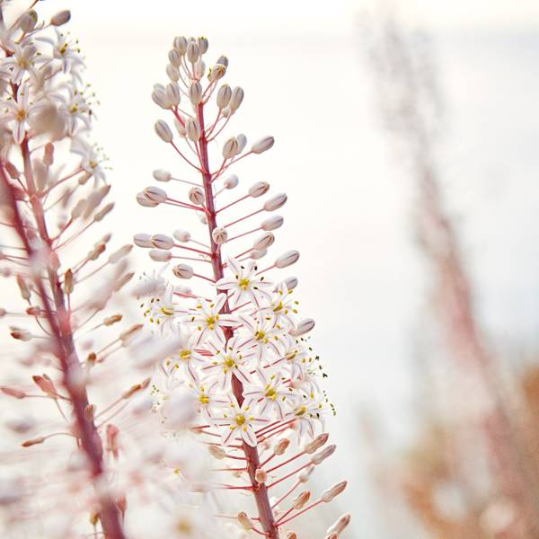 Calabria, Italy - guide to the best beaches, restaurants and hotels ...