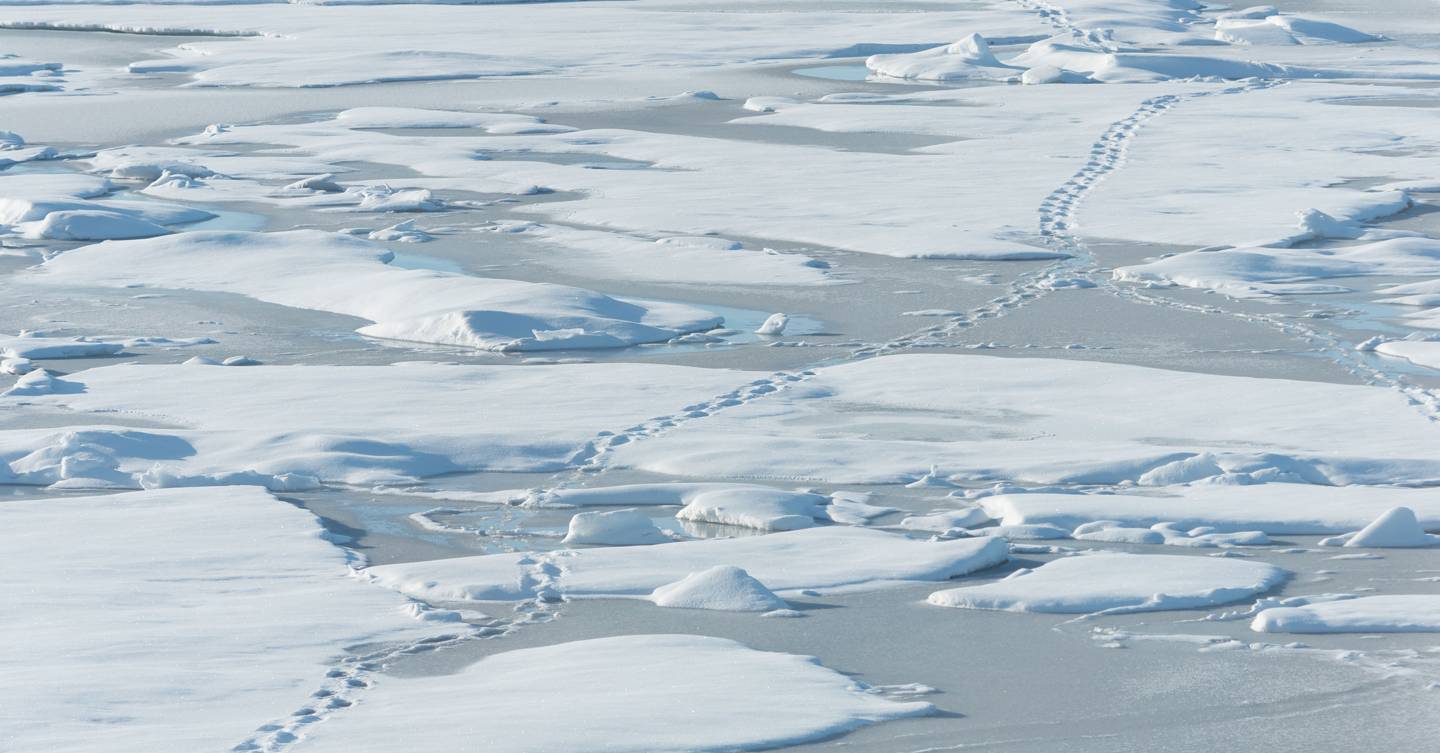 Did I tell you about the time I… plunged through thin ice in the North ...