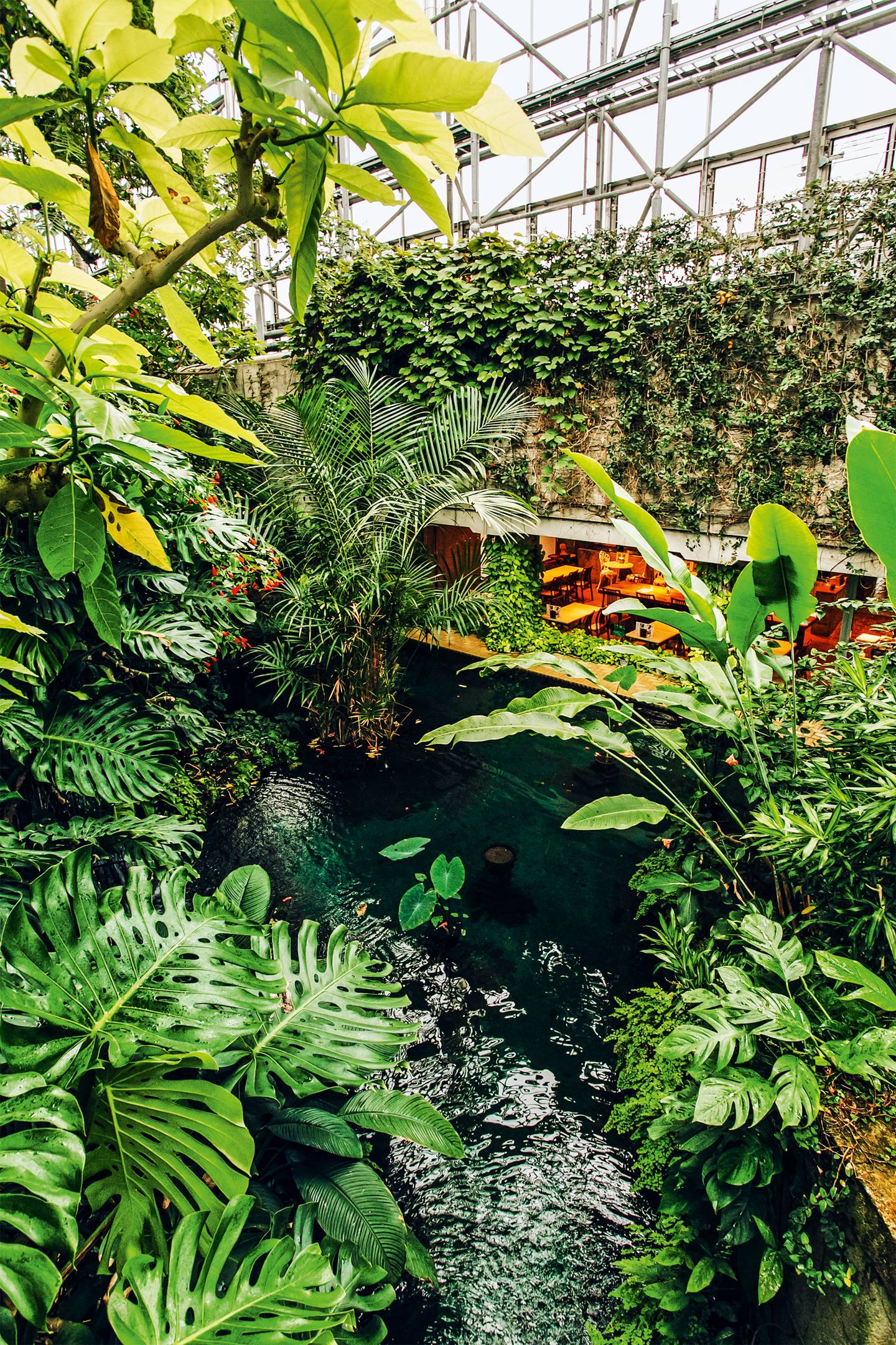 15 beautiful plant-filled interiors from around the world | CN Traveller