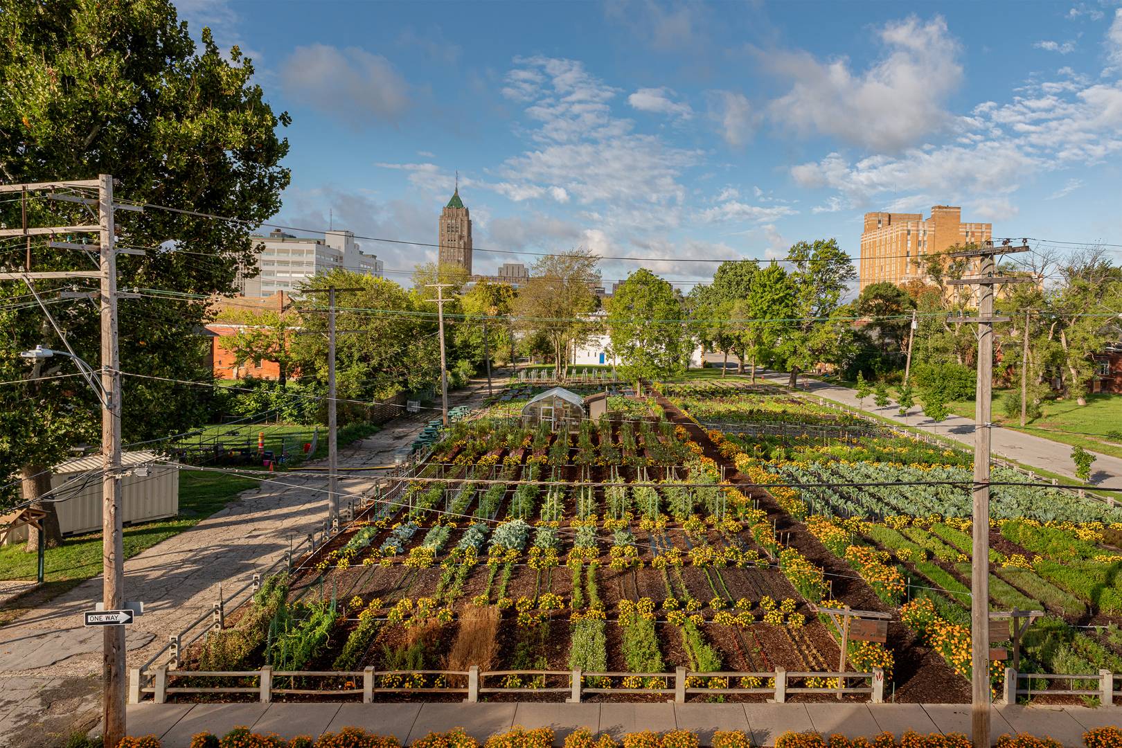 10 eco initiatives for greener city living | CN Traveller