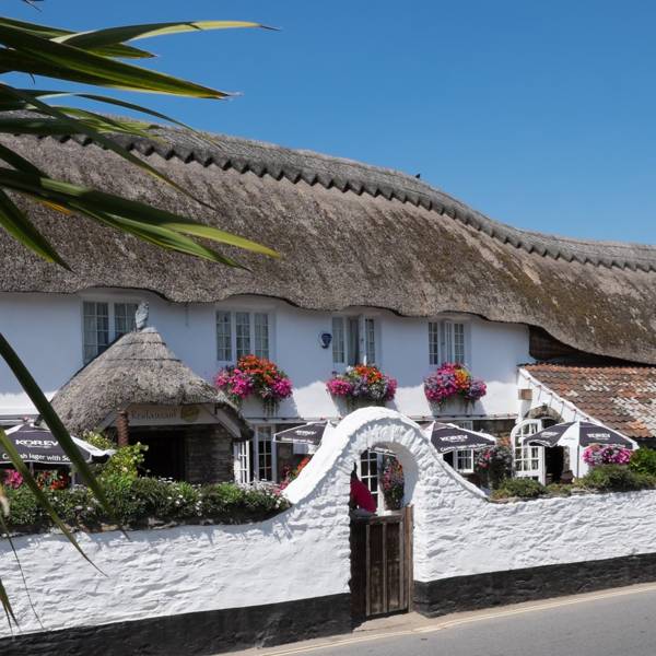 Devon's best pubs and beer gardens | England | CN Traveller
