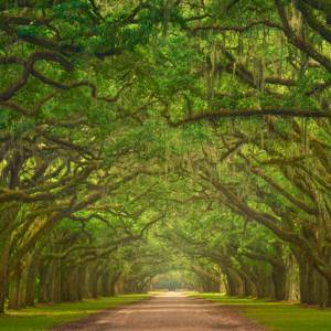 The most beautiful place in every US state | CN Traveller