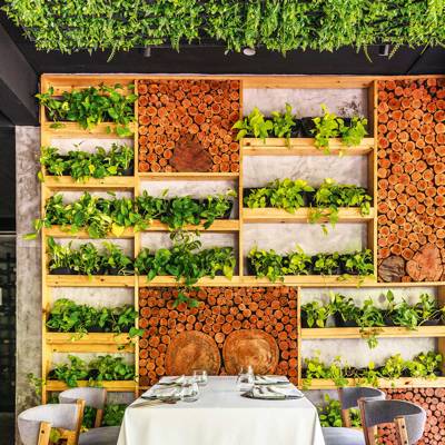 The best eco-friendly restaurants in the world | CN Traveller