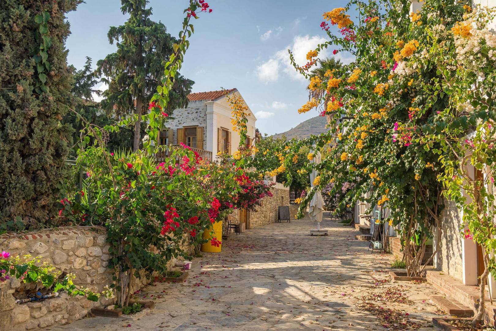 A insider's guide to Turkey's Datça Peninsula | CN Traveller