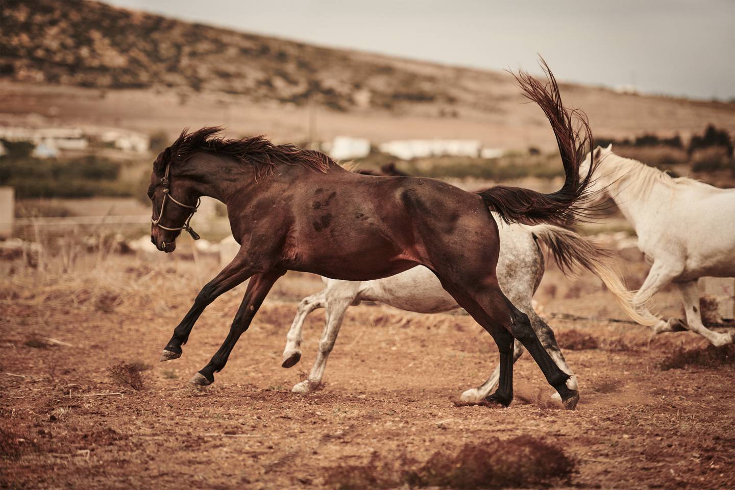 Paros, Greece: the most undiscovered Greek island | CN Traveller