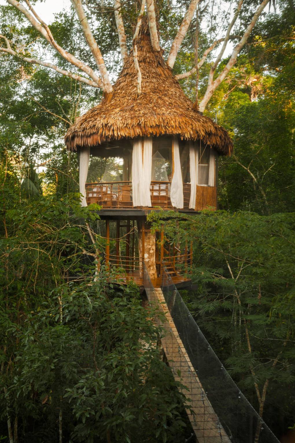 The best treehouse hotels around the world | CN Traveller