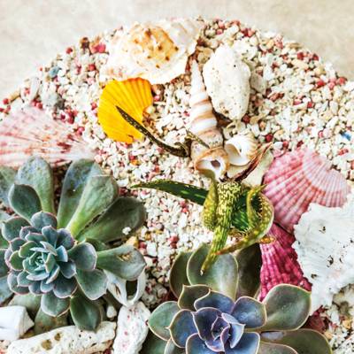 Anguilla – best beaches in the Caribbean | CN Traveller